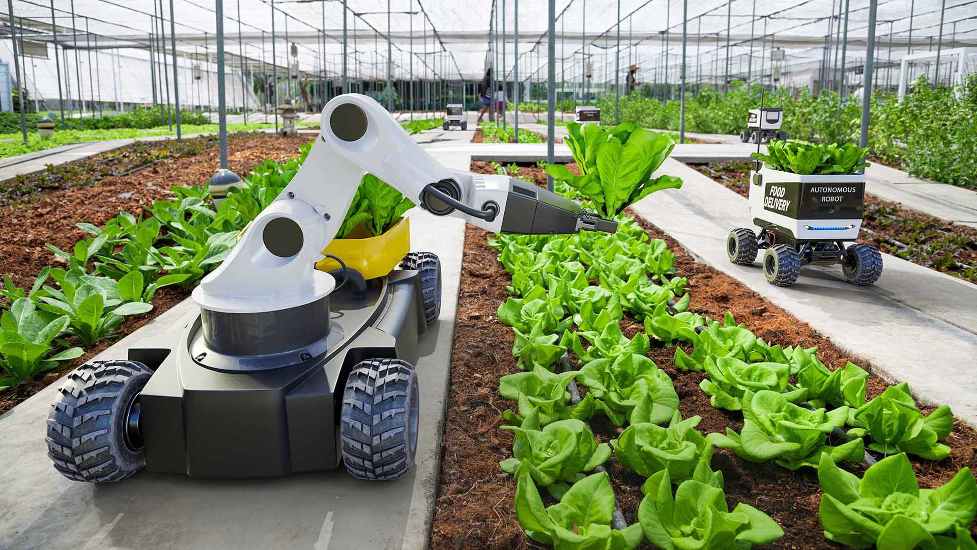 Positioning a Recruitment Consultant As a Thought Leader | EBY Marketing